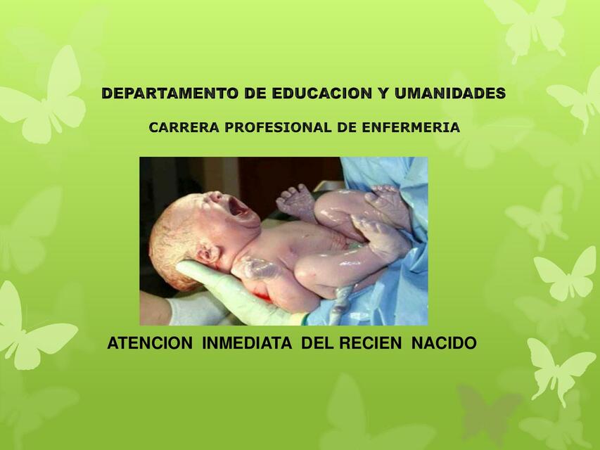 Atención Inmediata Al Recién Nacido Clase 2 Kim Eduard Udocz
