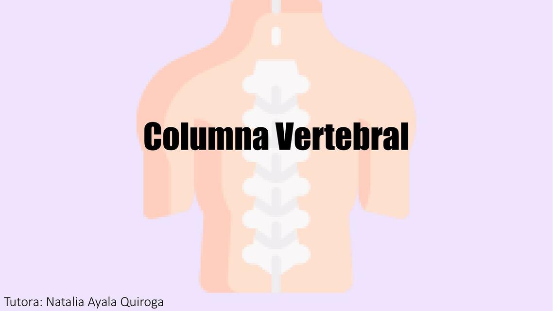 Columna vertebral | Natalia Ayala Quiroga | uDocz
