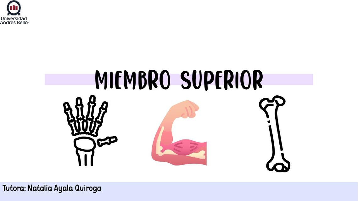 Miembro superior | Natalia Ayala Quiroga | uDocz