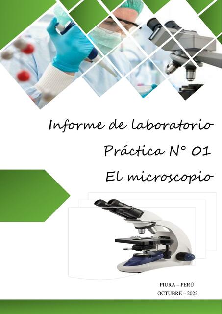 Informe Práctica de Laboratorio | lady | uDocz