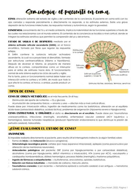 Semiología del Coma | Ana Clara Molet | uDocz