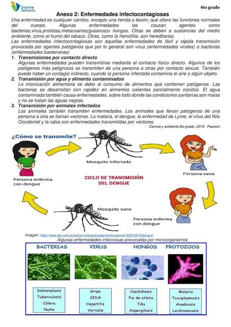 ANEXO 2 2 - Enfermedades infectocontagiosas | Miriam Huaman | uDocz