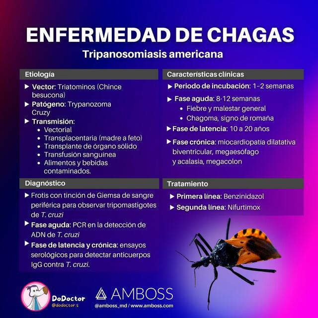 Enfermedad de Chagas (Flashcard) | DoDoctor | uDocz