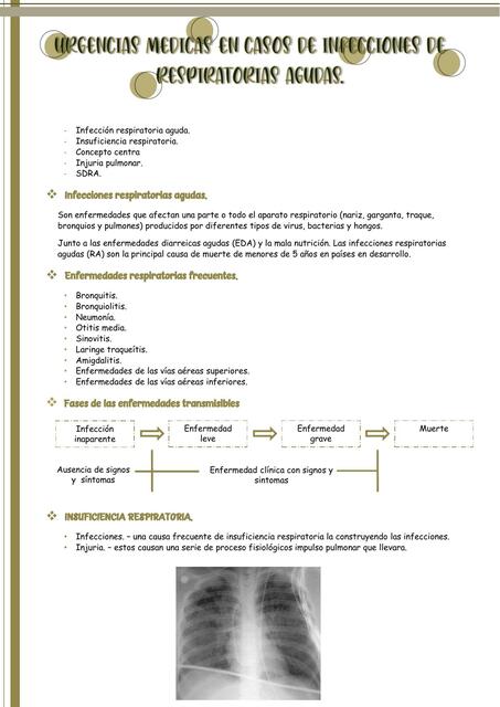 Infecciones Respiratorias Agudas Ira Rossy Udocz