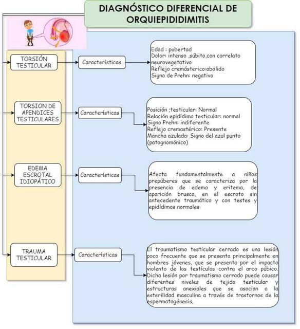 Orquiepiedidimitis | LEK_MEDIC | uDocz