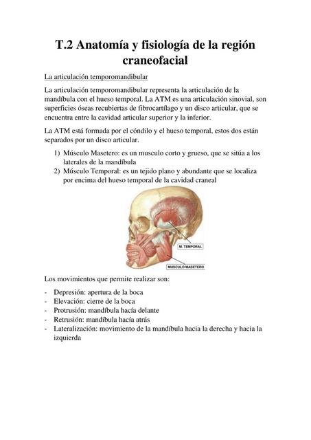 Anatomía y fisiología de la región craneofacial | Lucía Pinto Castelló ...