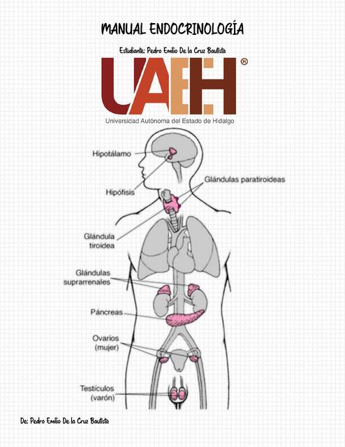 Manual de Endocrinología | DR. PEDRO EMILIO | uDocz