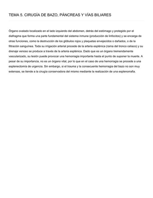 vacularización e inervación del bazo | uDocz