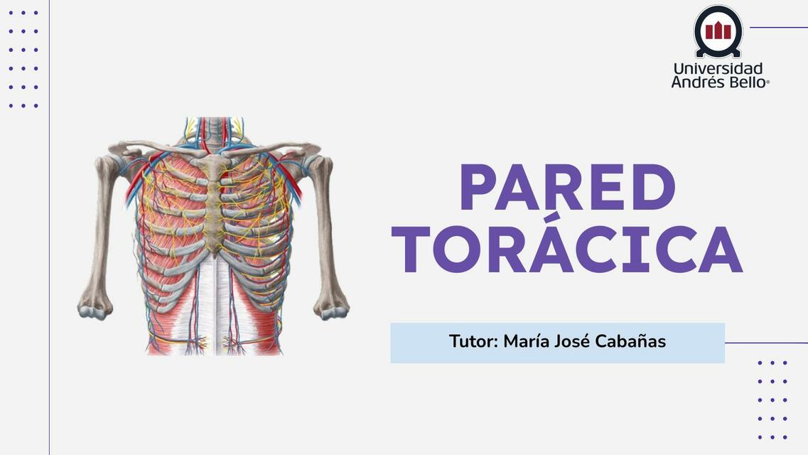 Pared torácica | millaray vidal | uDocz