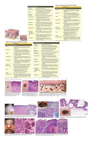 Patología de la Piel | Jhamil Cad Maldonado | uDocz