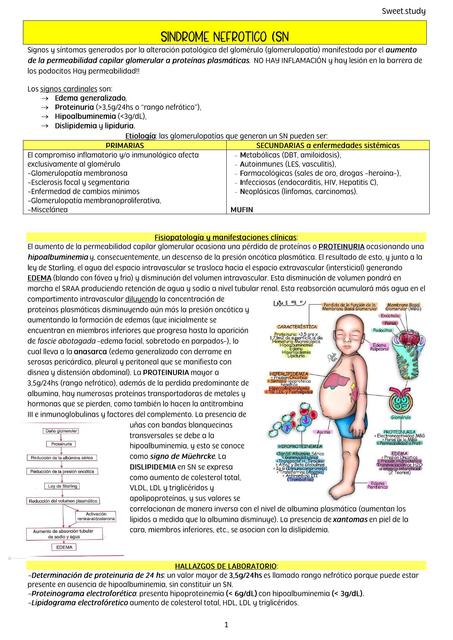 Síndrome Nefrótico | Sweet Study | uDocz