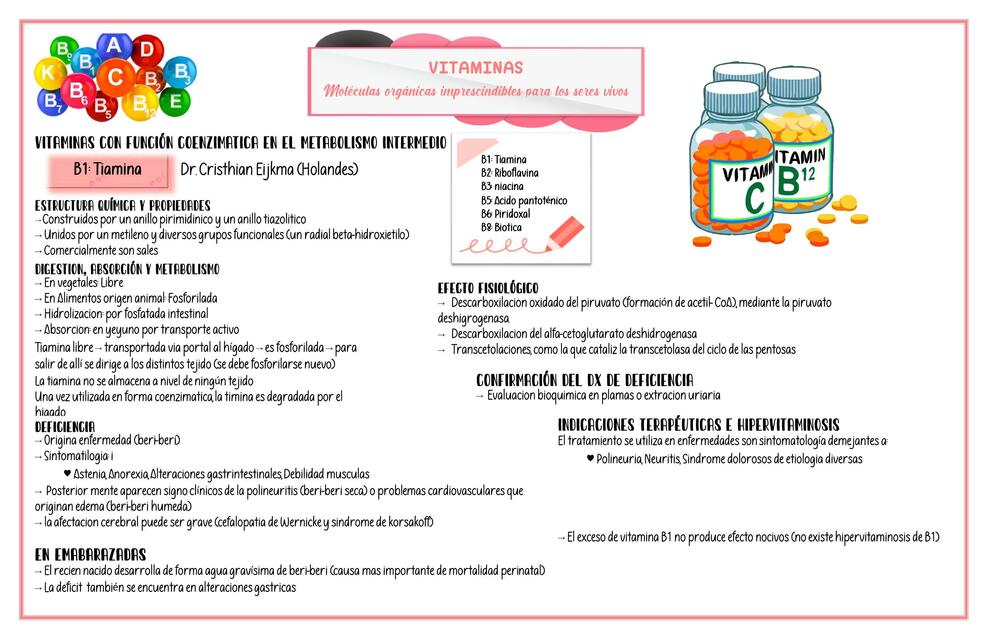 VItamina, B1 Tiamina | uDocz