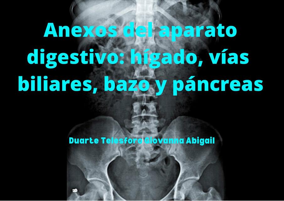 Imagenología de patologías de hígado y vías biliares | Duarte Telesforo ...