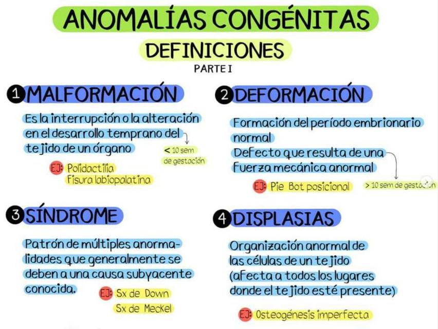 Anomalías Congénitas | YUDOC.ORG | uDocz
