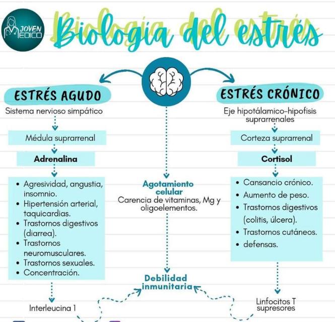 Biológica del Estrés | YUDOC.ORG | uDocz