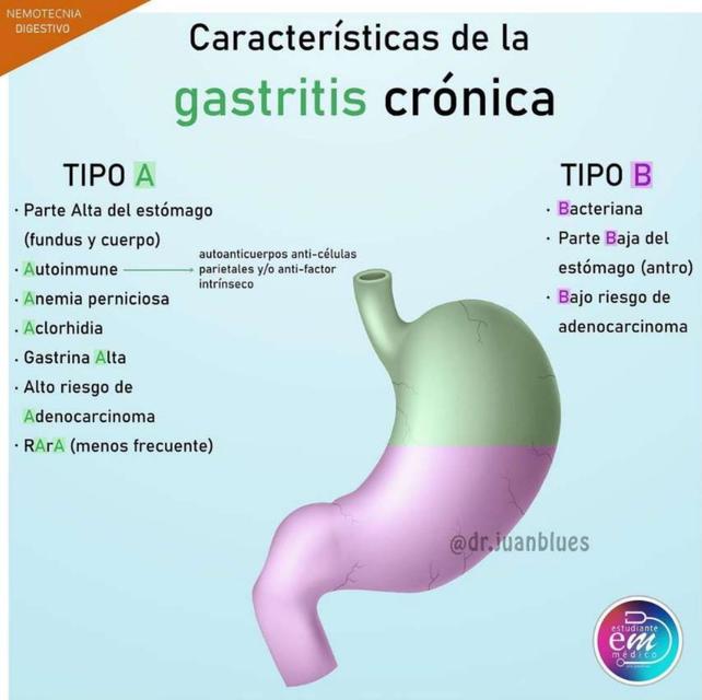 Gastritis Crónica | YUDOC.ORG | uDocz