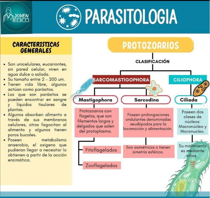 Parasitología | YUDOC.ORG | uDocz