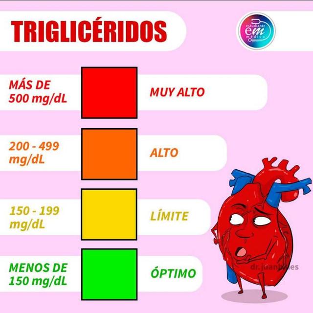 Triglicéridos | YUDOC.ORG | uDocz