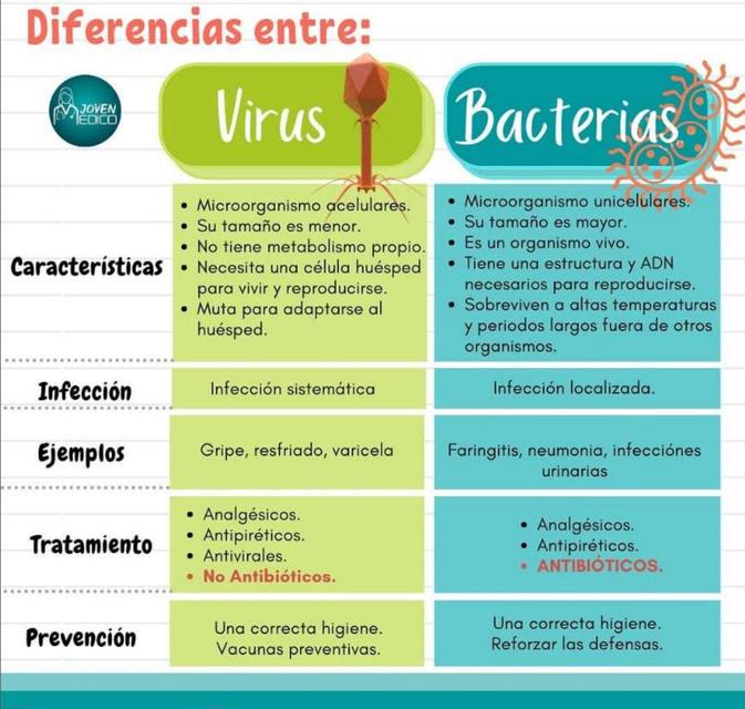 Virus O Bacteria | YUDOC.ORG | uDocz