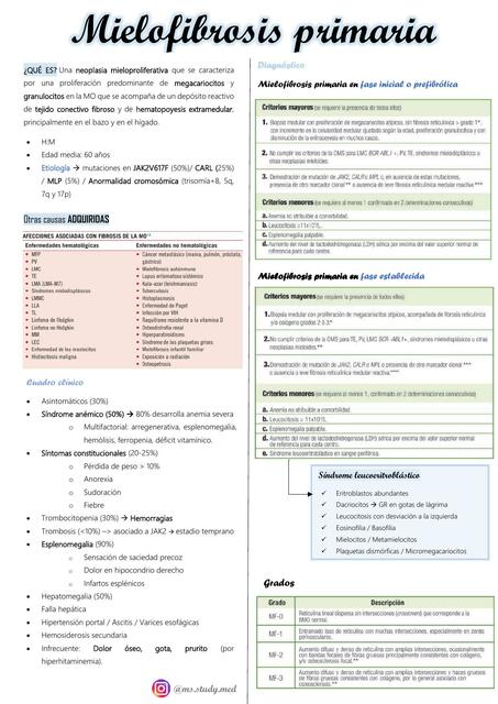 Mielofibrosis primaria | Ms.study.med | uDocz