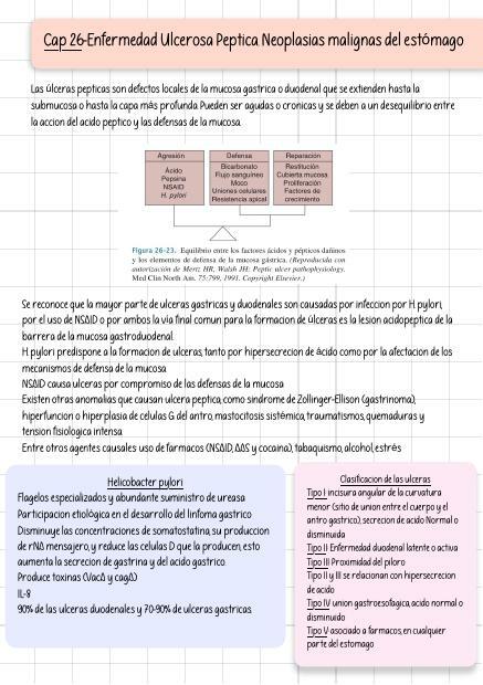 ENF. Ulcerosa Péptica y Neoplasias Estómago (RESUMEN DE SCHWARTZ 10ED) | Kuma | uDocz