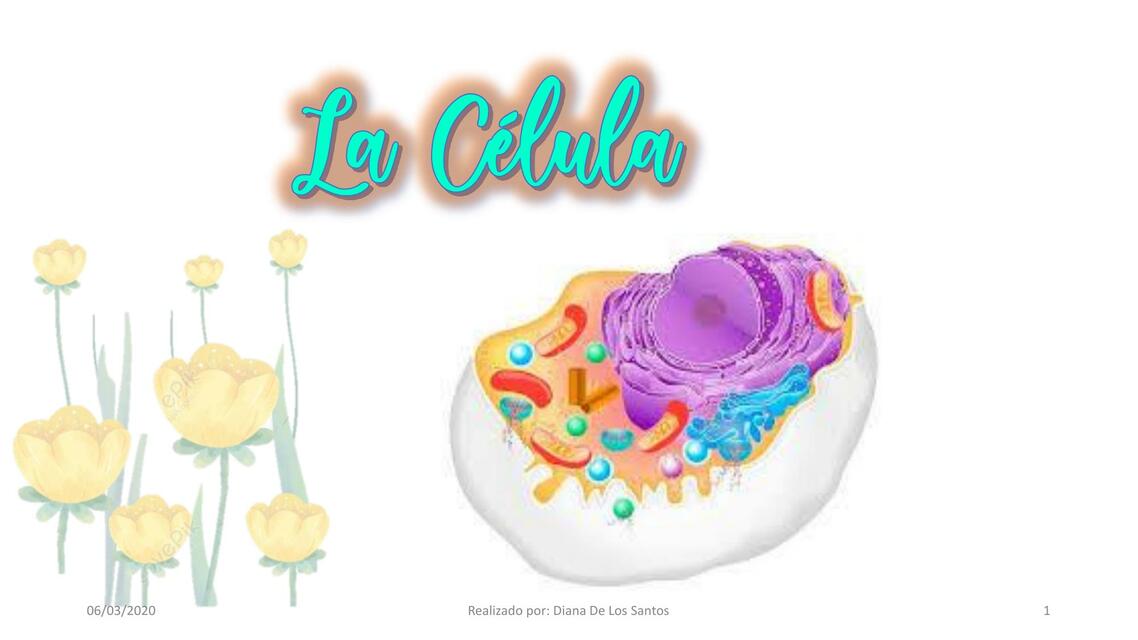 La Célula (Teoría celular funciones de los organelos) Guía de estudio ...