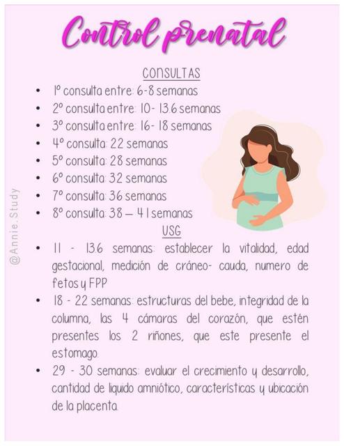 Control Prenatal | YUDOC.ORG | uDocz
