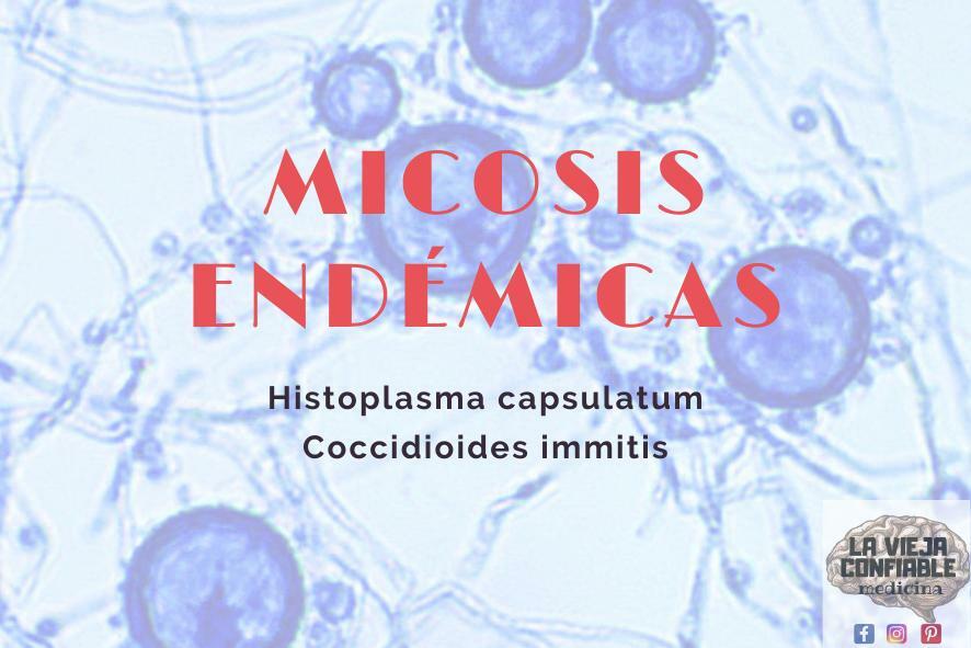 4 Micosis Endémicas | CEREBROS MEDICOS | uDocz