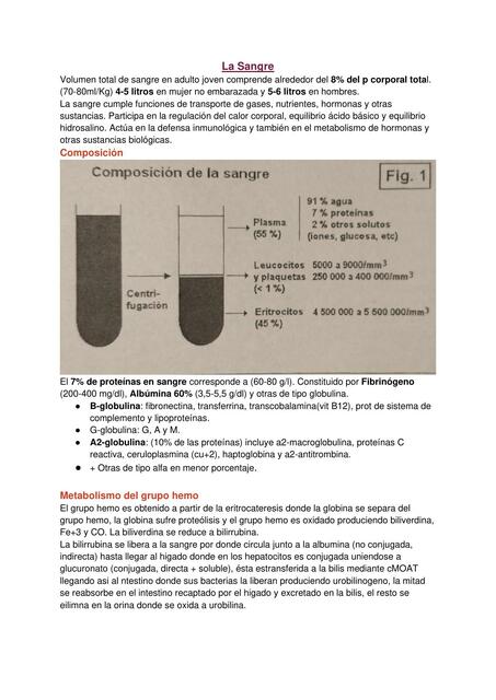 La Sangre | Camim | uDocz