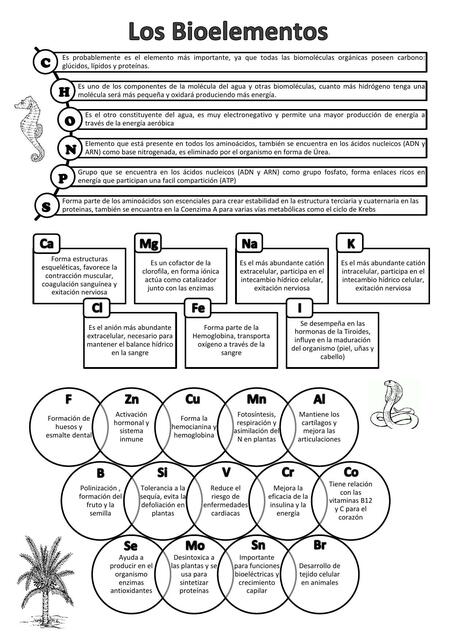 Los Bioelementos | Eloy Mamani | uDocz