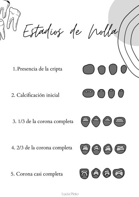 ESTADIOS DE NOLLA | Lucía Pinto Castelló | uDocz