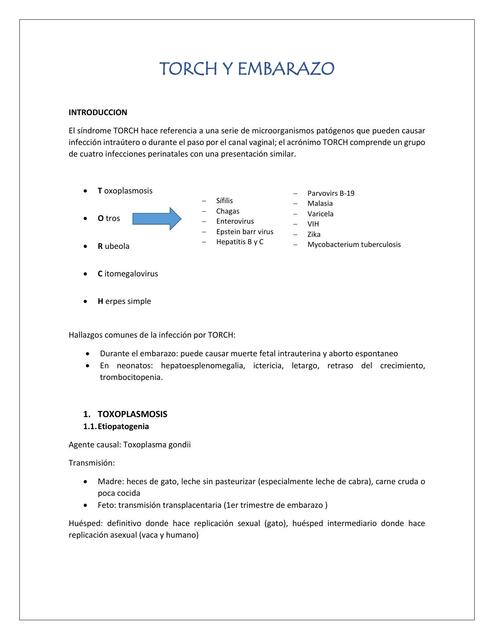 TORCH Y EMBARAZO | Verania Cabrera | uDocz