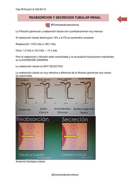 Cap 29 Guyton Hall Ed 13 | futuramedica encolores | uDocz