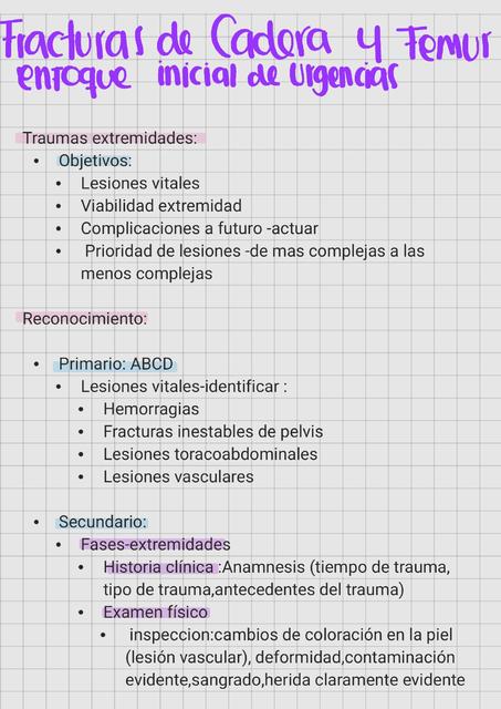 Fracturas De Cadera Y Fémur Enfoque Inicial 1 Aleja Huertas Udocz