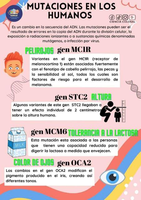 Mutacion en los Humanos | YUDOC.ORG | uDocz