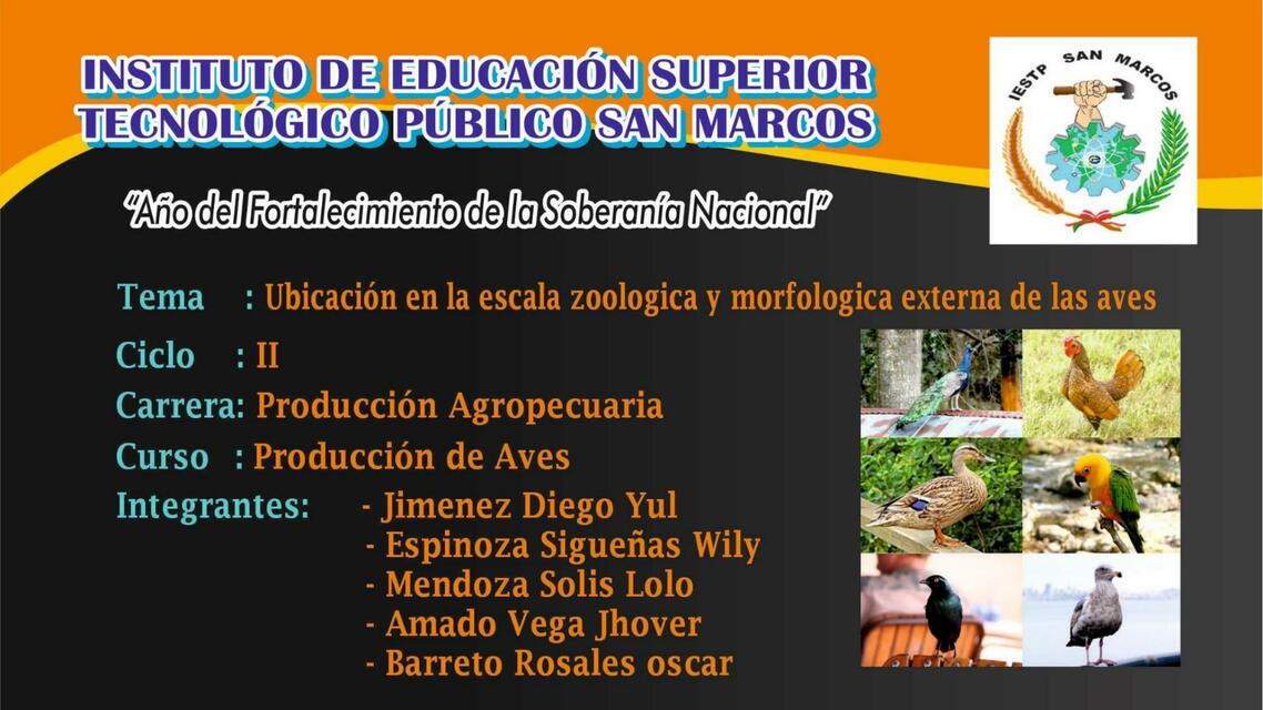 Ubicación en la Escala Zoológica y Morfológica Externa de las Aves ...