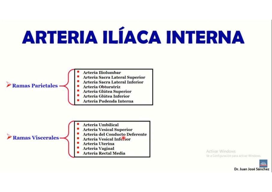 Resúmenes de Arteria ilíaca interna | Descarga apuntes de Arteria ...