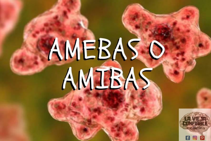 Amebas | La Vieja Confiable Medicina | uDocz
