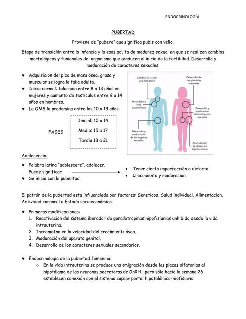 Pubertad | Paloma Muñiz | uDocz