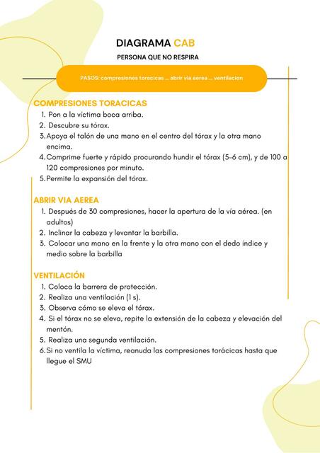 Protocolo de actuación abc-cab