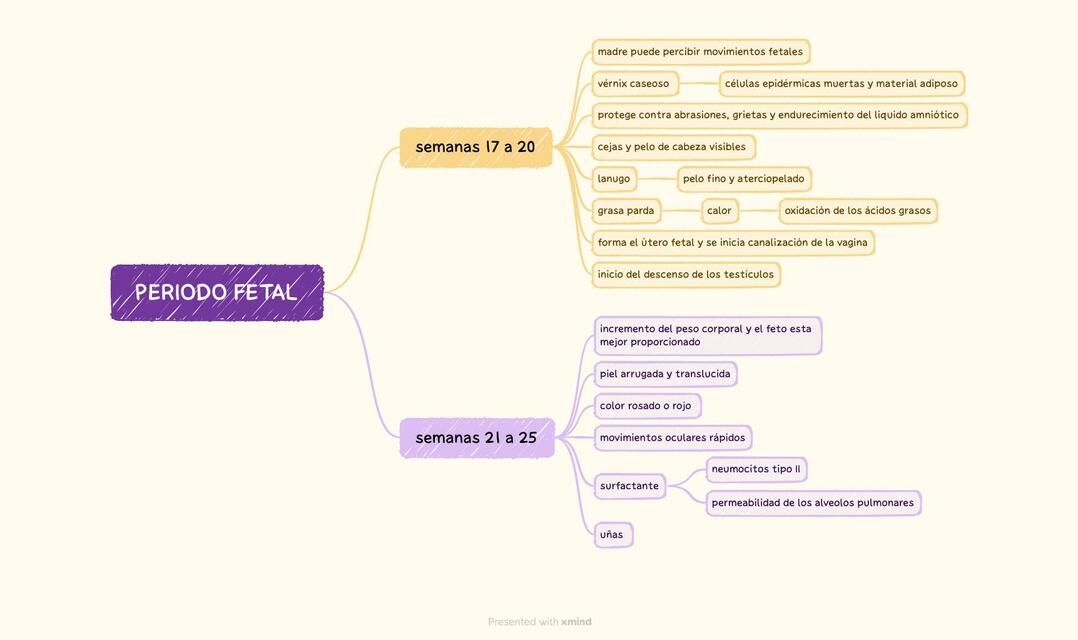 Periodo Fetal | Alexander Moller | uDocz