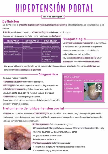 Hipertensión Portal y Várices Esofágicas PDF | Medicina.zip | uDocz
