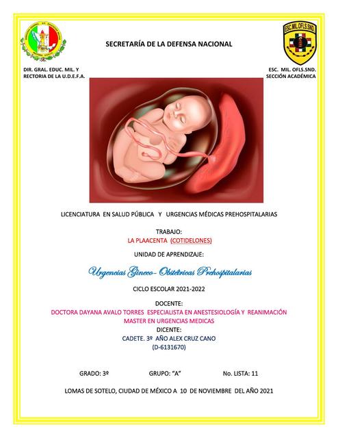 La Placenta | Alejandro cruz | uDocz