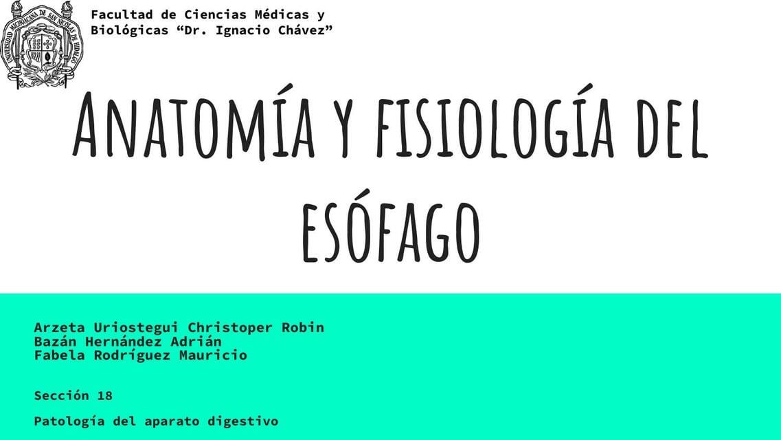 Anatomía y Fisiología del Esófago y Disfagia | Christoper Robin Arzeta ...