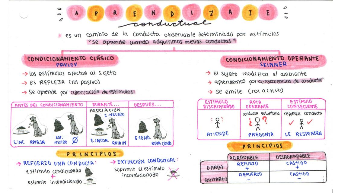 Aprendizaje Espacio De Jul Udocz