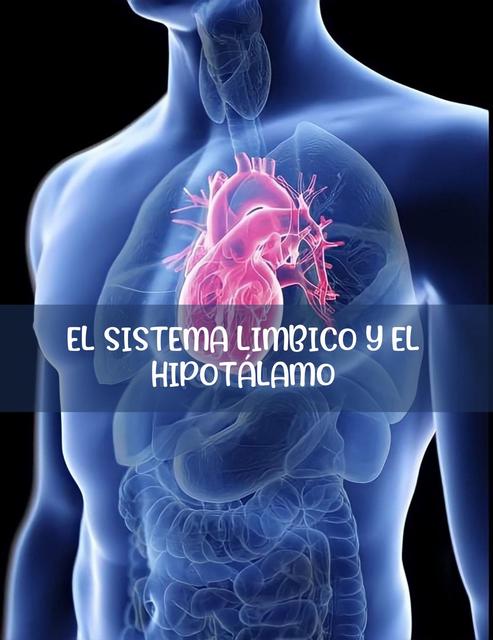 El Sistema Límbico y el Hipotálamo (Cap. 59 Guyton) | Summaries_med | uDocz