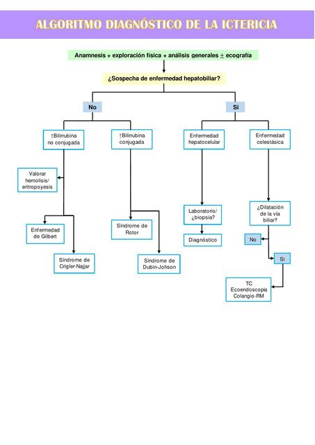 Resúmenes de Clases | Descarga apuntes de Clases