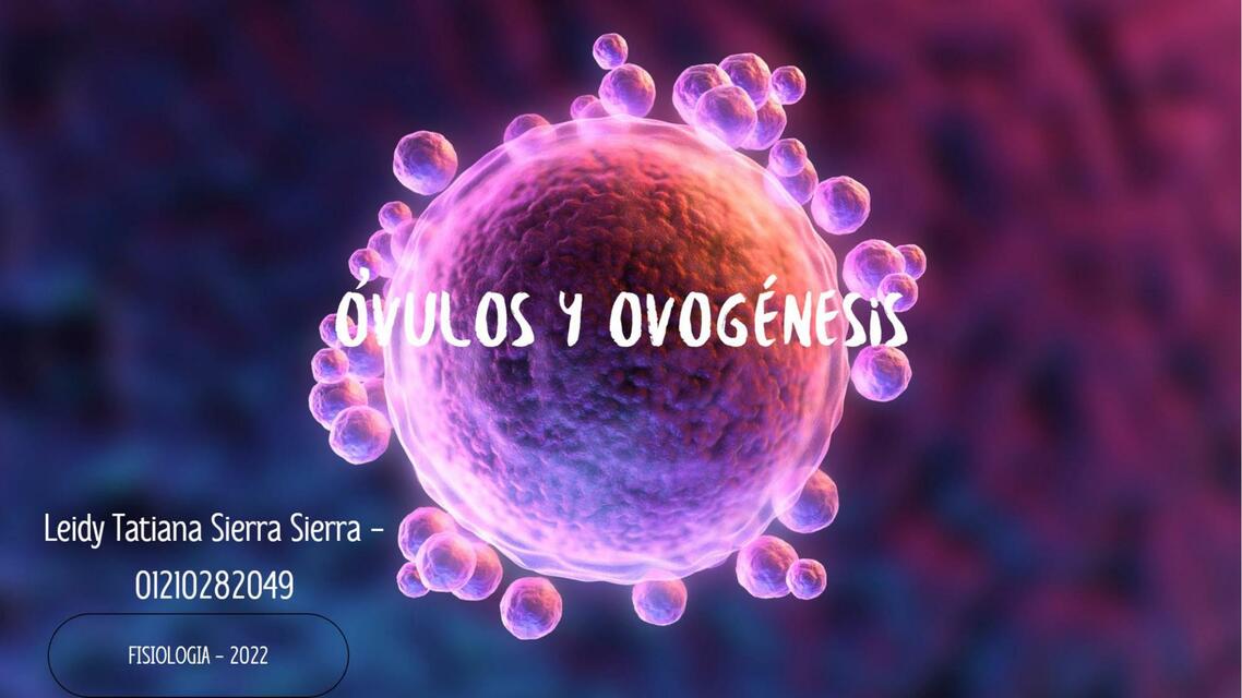 Resúmenes de Óvulos y ovogénesis | Descarga apuntes de Óvulos y ovogénesis