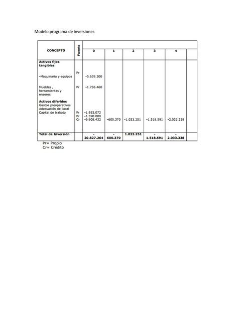 Modelo Programa de Inversiones | mauro r | uDocz