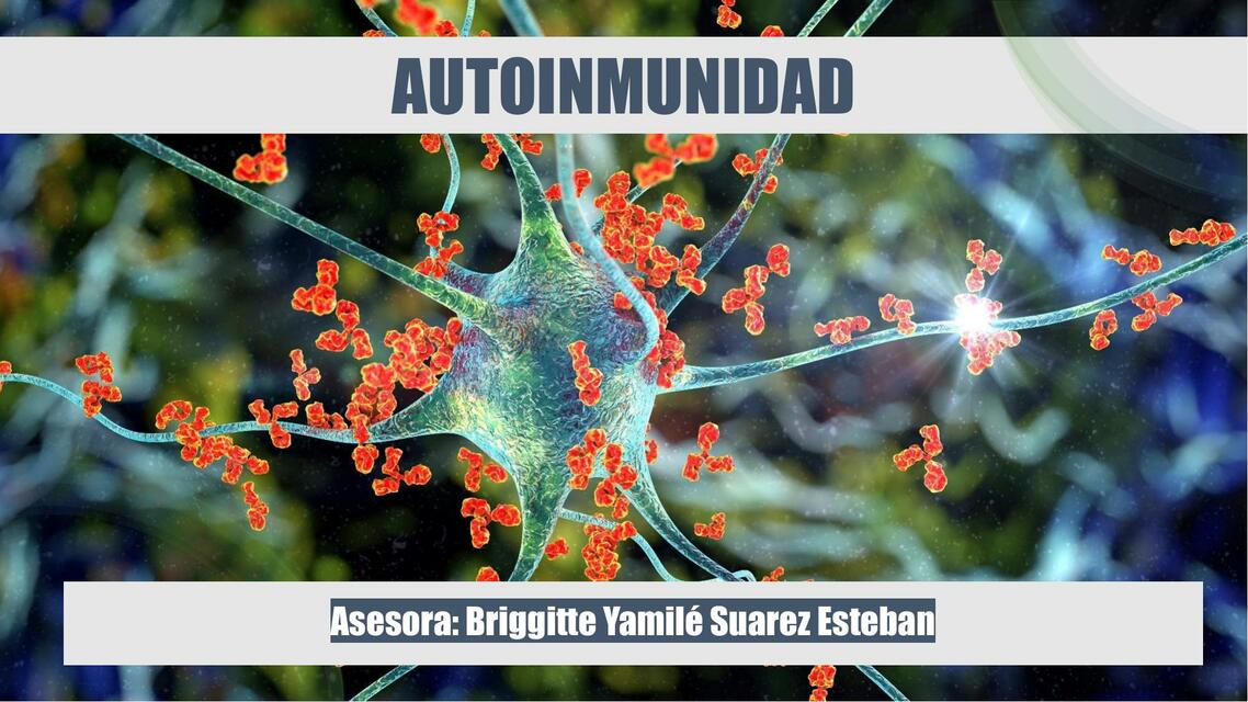 Esquema Resumen + Preguntas - Autoinmunidad | Briggitte Yamilé Suarez ...